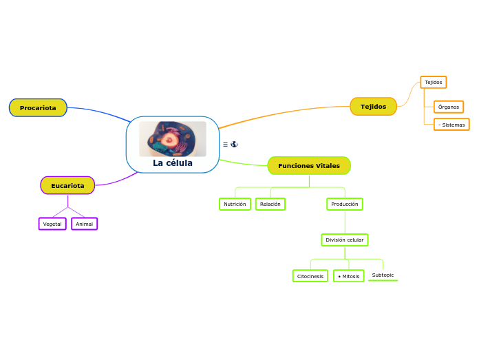 La célula - Mind Map